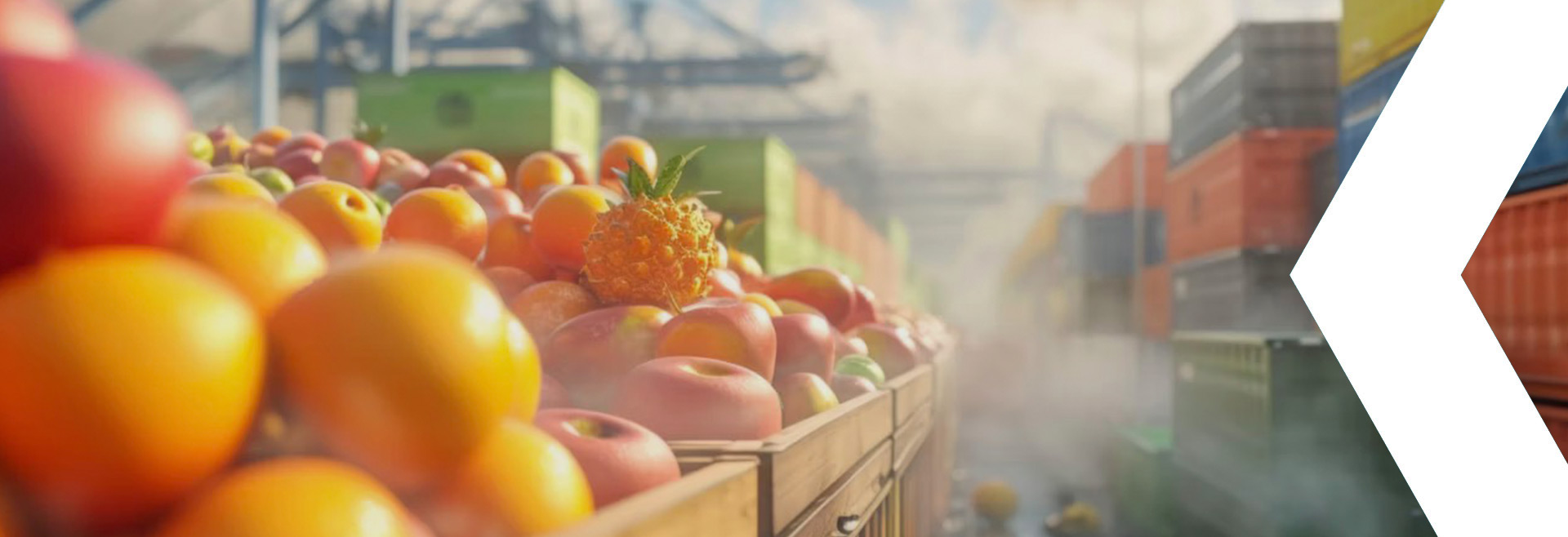 Reefer & Perishables - USCO Log